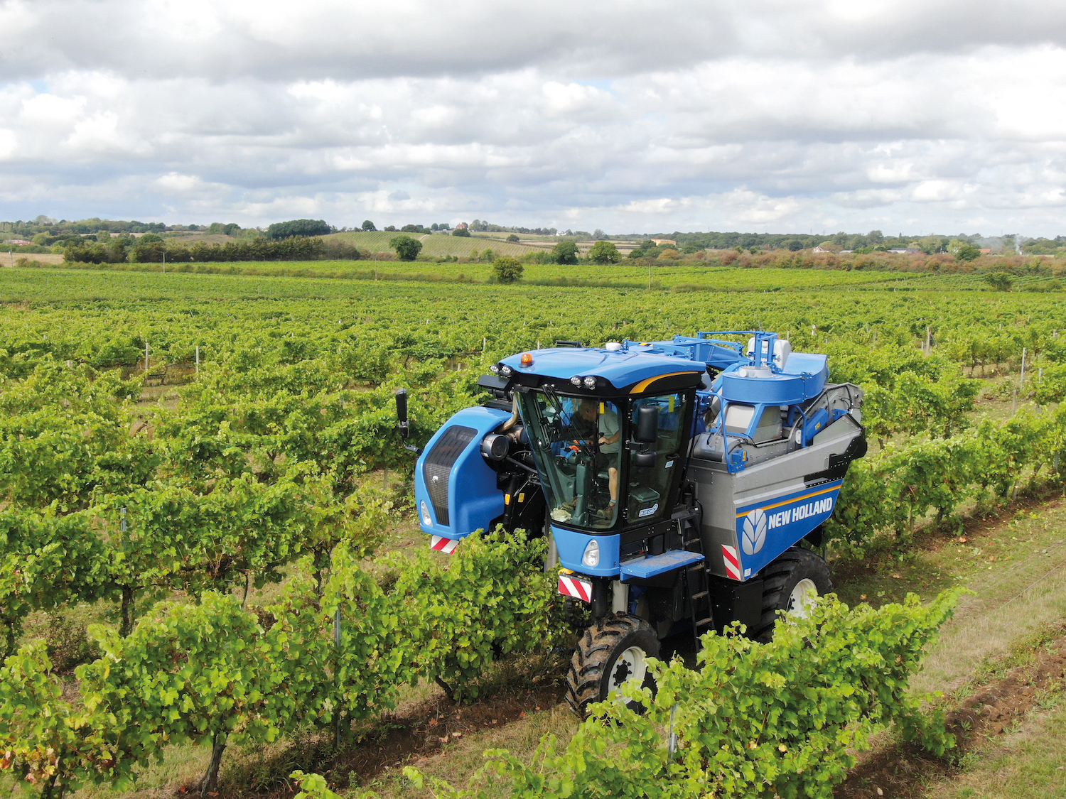 Improved grape quality justifies harvester investment - Fruit & Vine