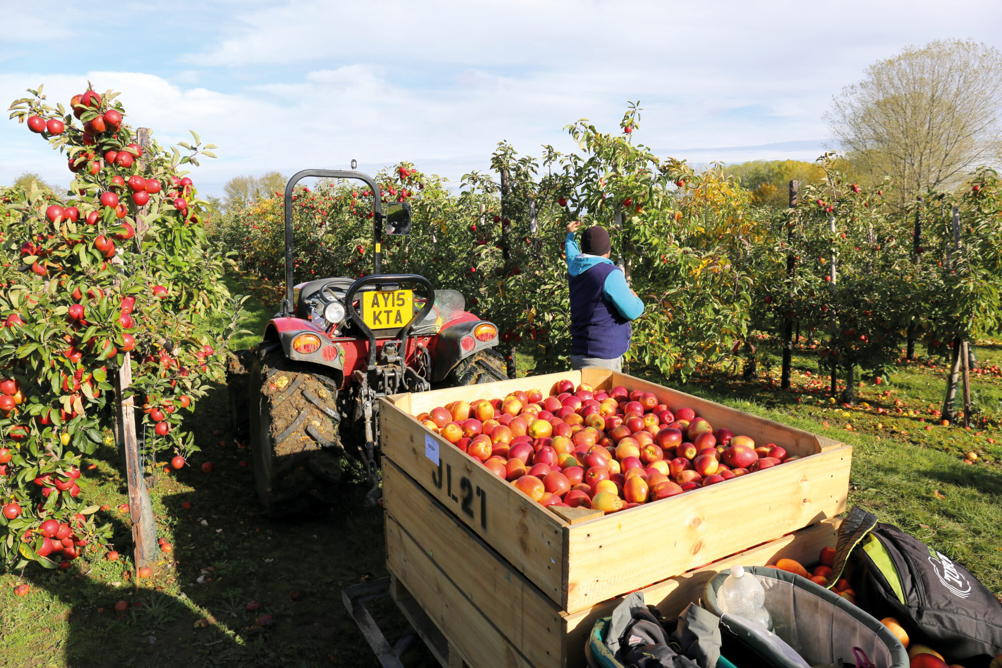 Grower Profile: Braiseworth Orchards - Fruit & Vine