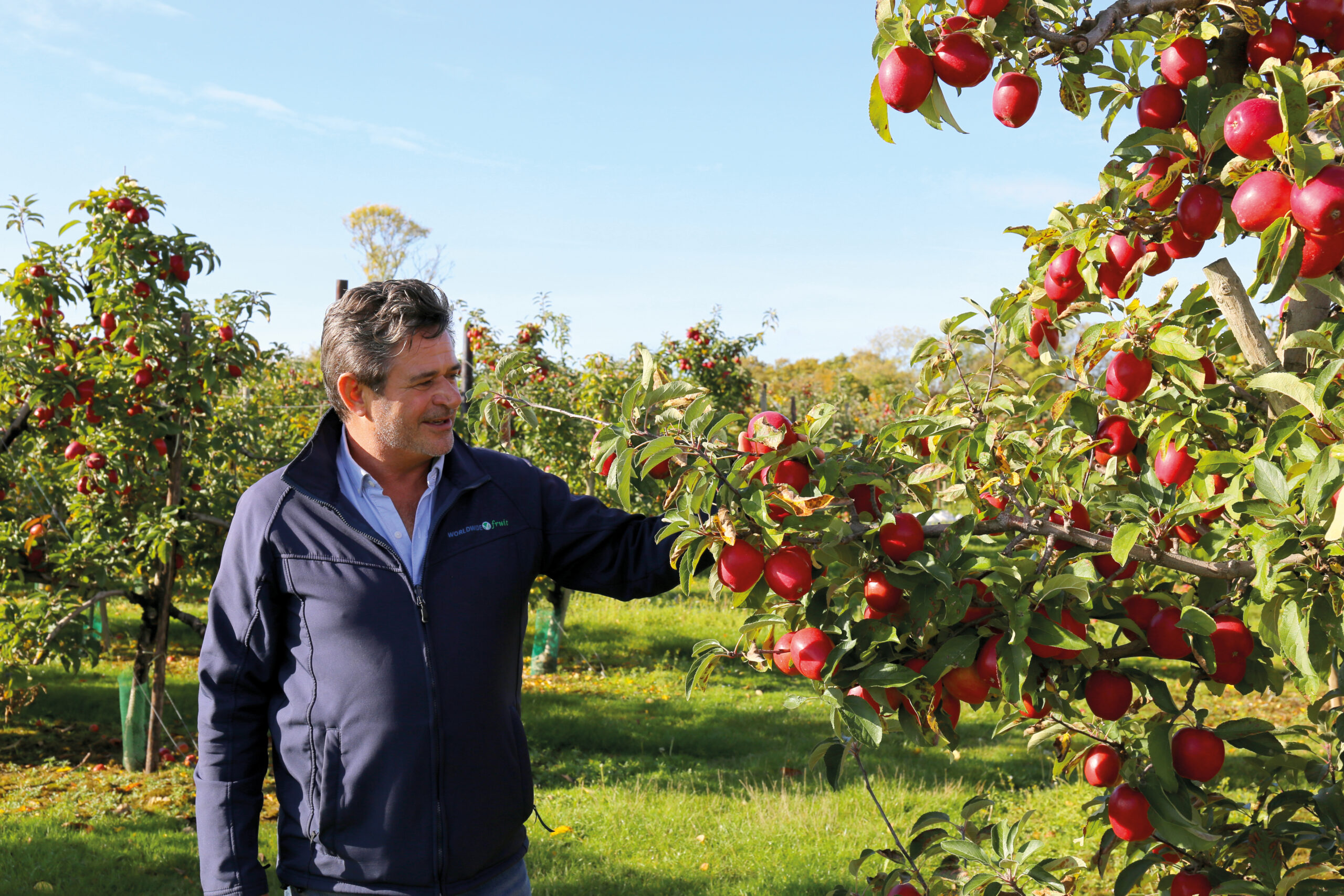 Grower Profile: Braiseworth Orchards - Fruit & Vine