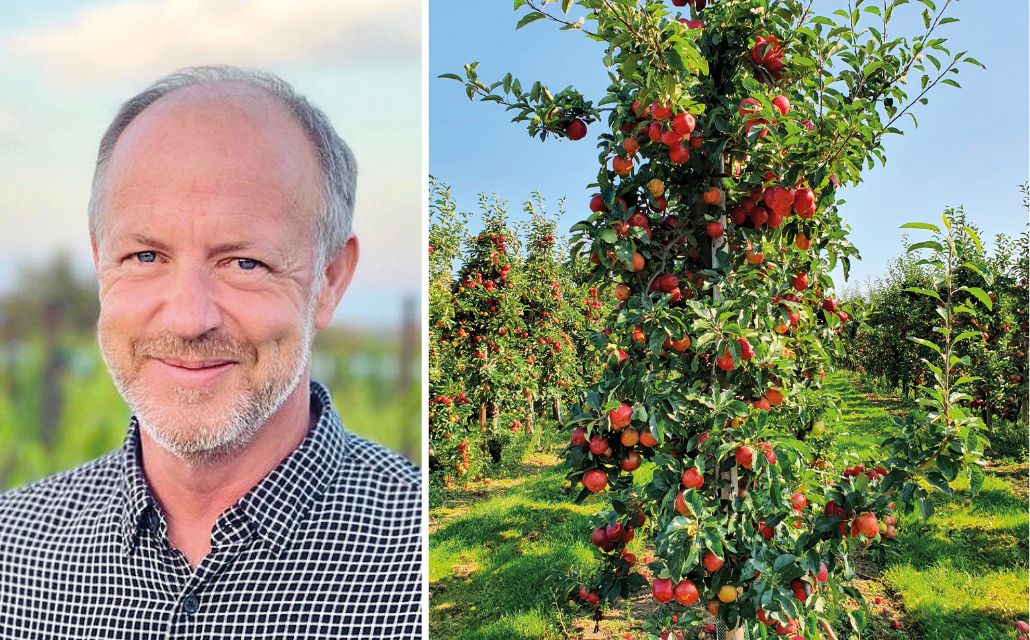 Grower Profile: W&D Riccini - Fruit & Vine
