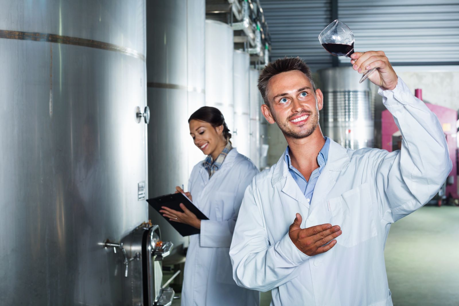 Free course launched for job seekers looking to work in the wine ...