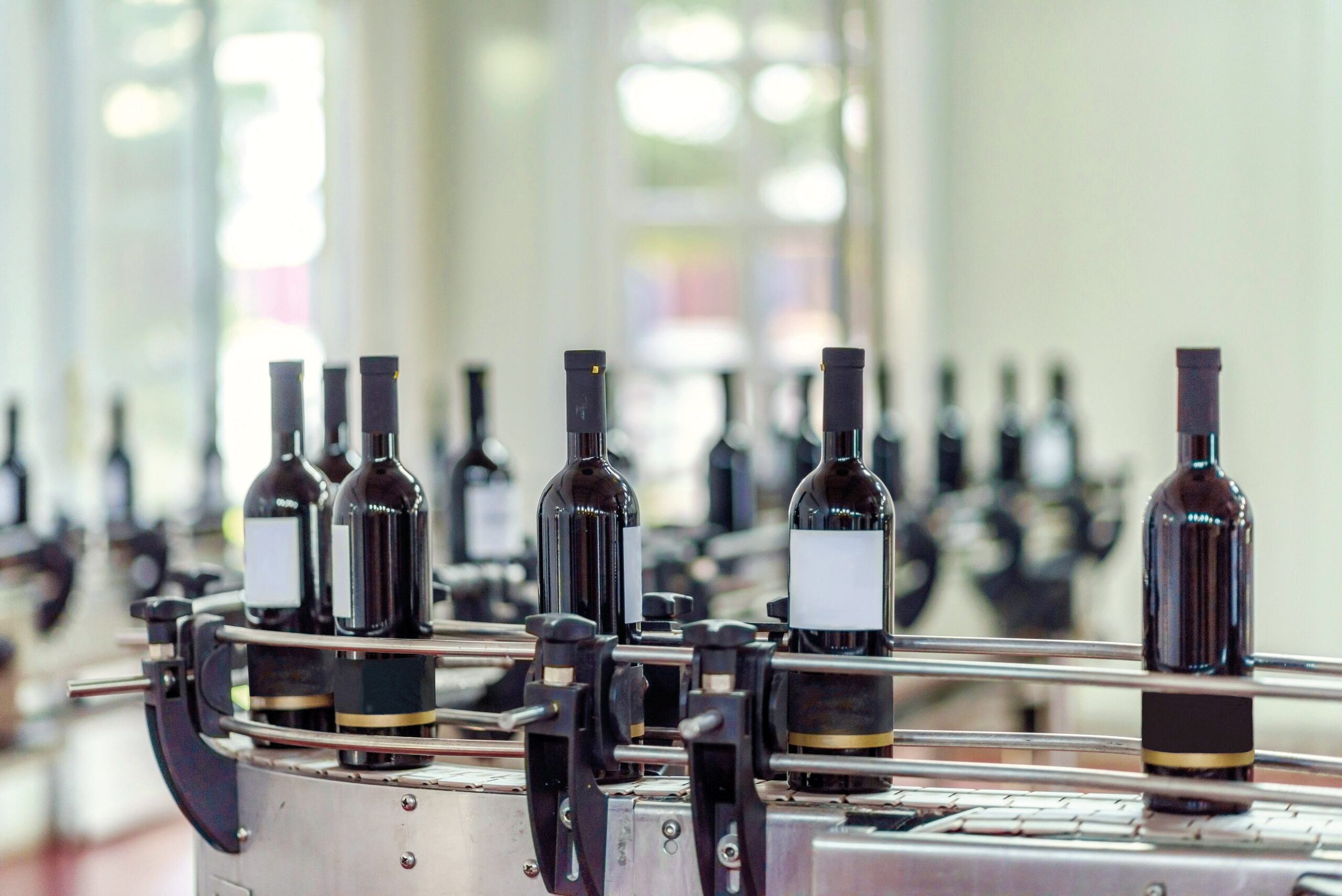Everything you need to know about bottling wine - Fruit & Vine