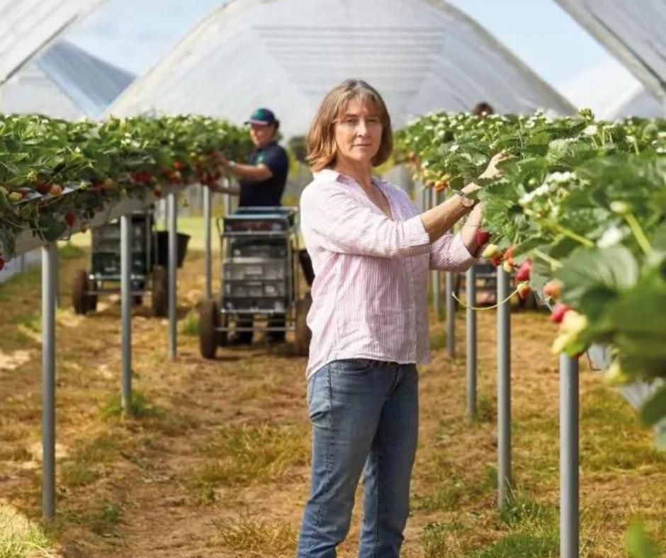 Fruit Grower Profile: Hugh Lowe Farms - Fruit & Vine