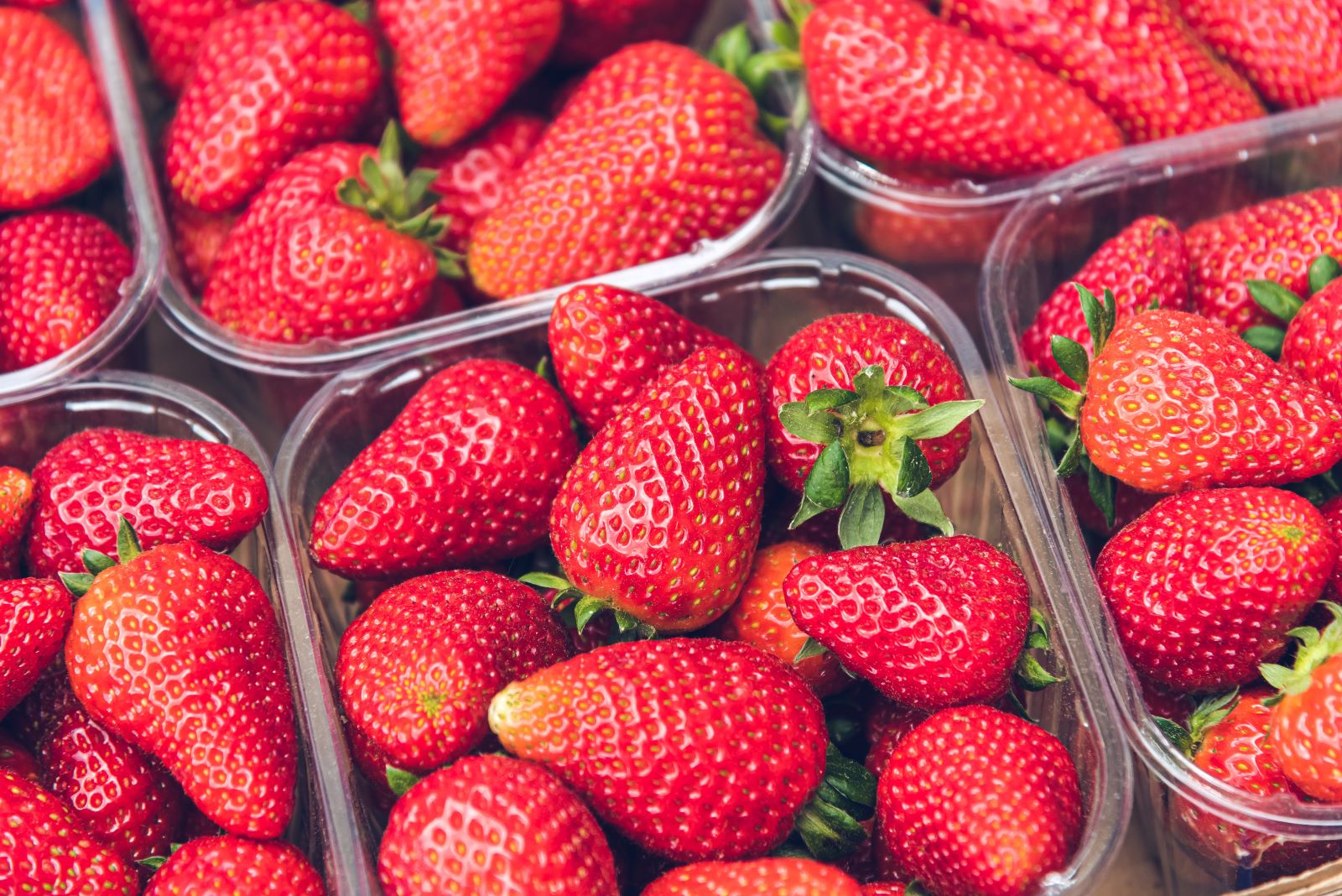 British Berry Growers to hand out 30,000 strawberries at Tough Mudder ...