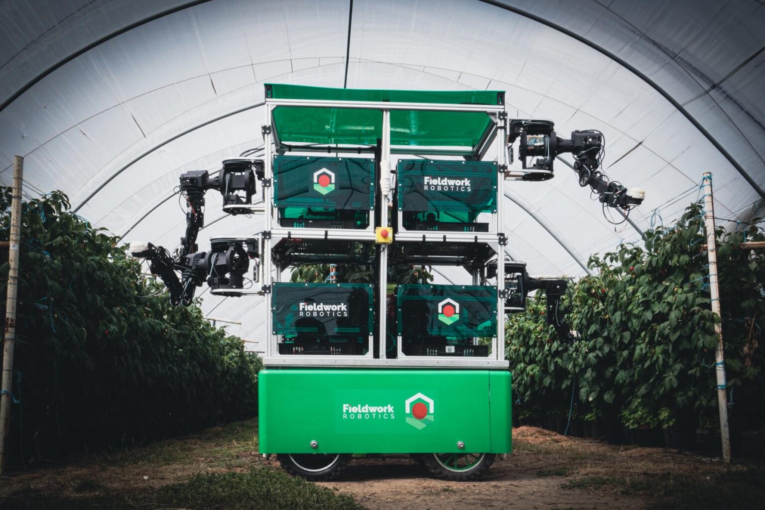 Firm behind world’s first raspberry picking robot secures £1.5m ...